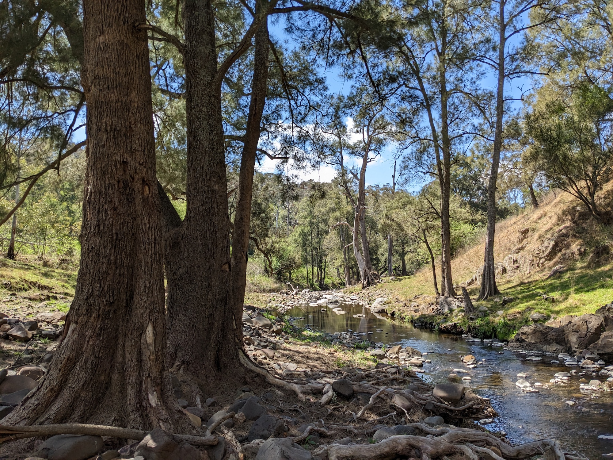 Navin Officer Heritage Consultants | Dr Susan McIntyre-Tamwoy