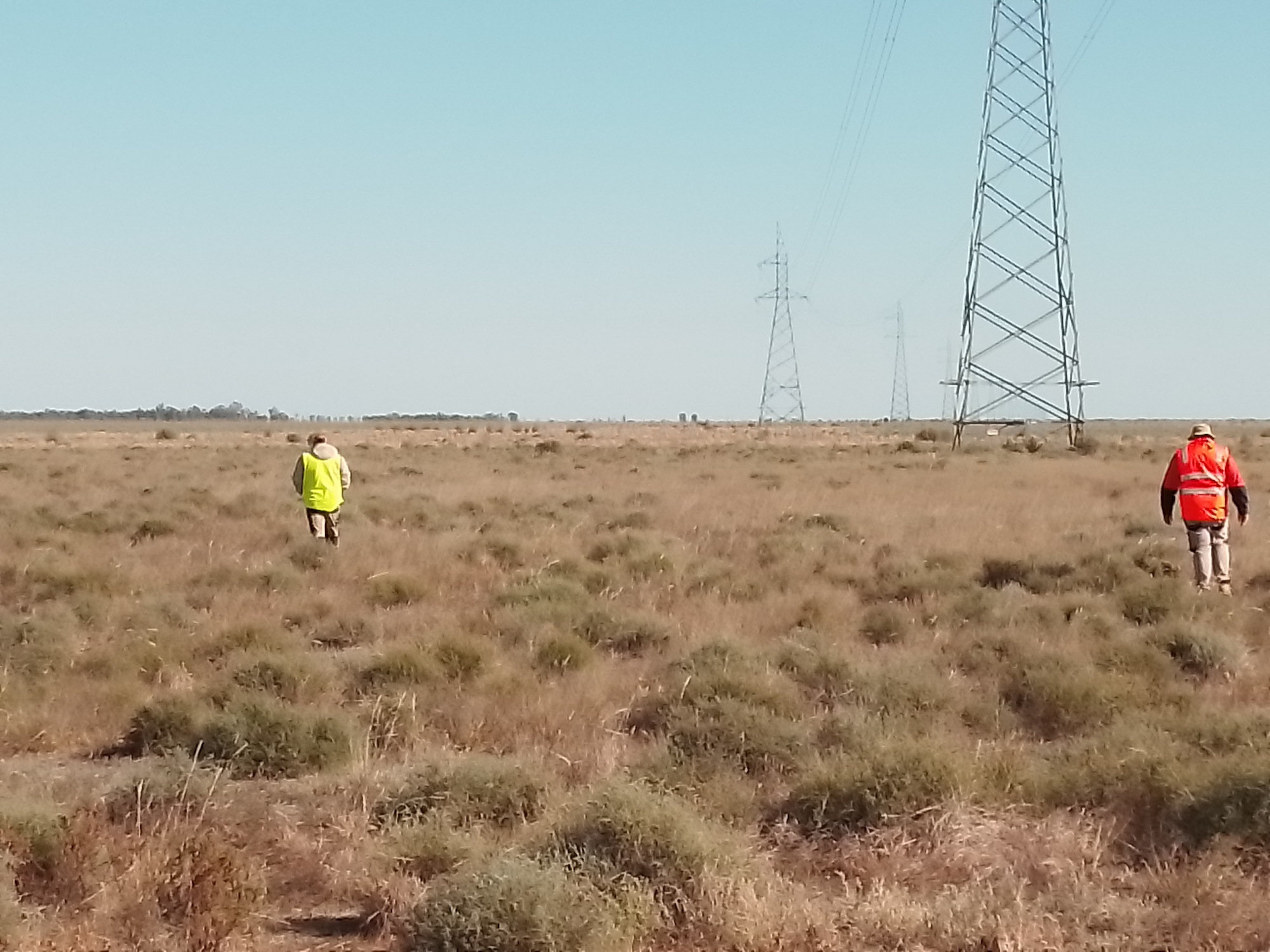 Navin Officer Heritage Consultants | Sectors > Energy