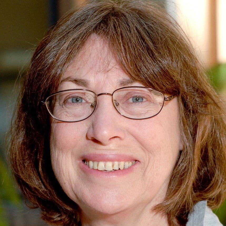 Navin Officer Heritage Consultants | Dr Denise Donlon